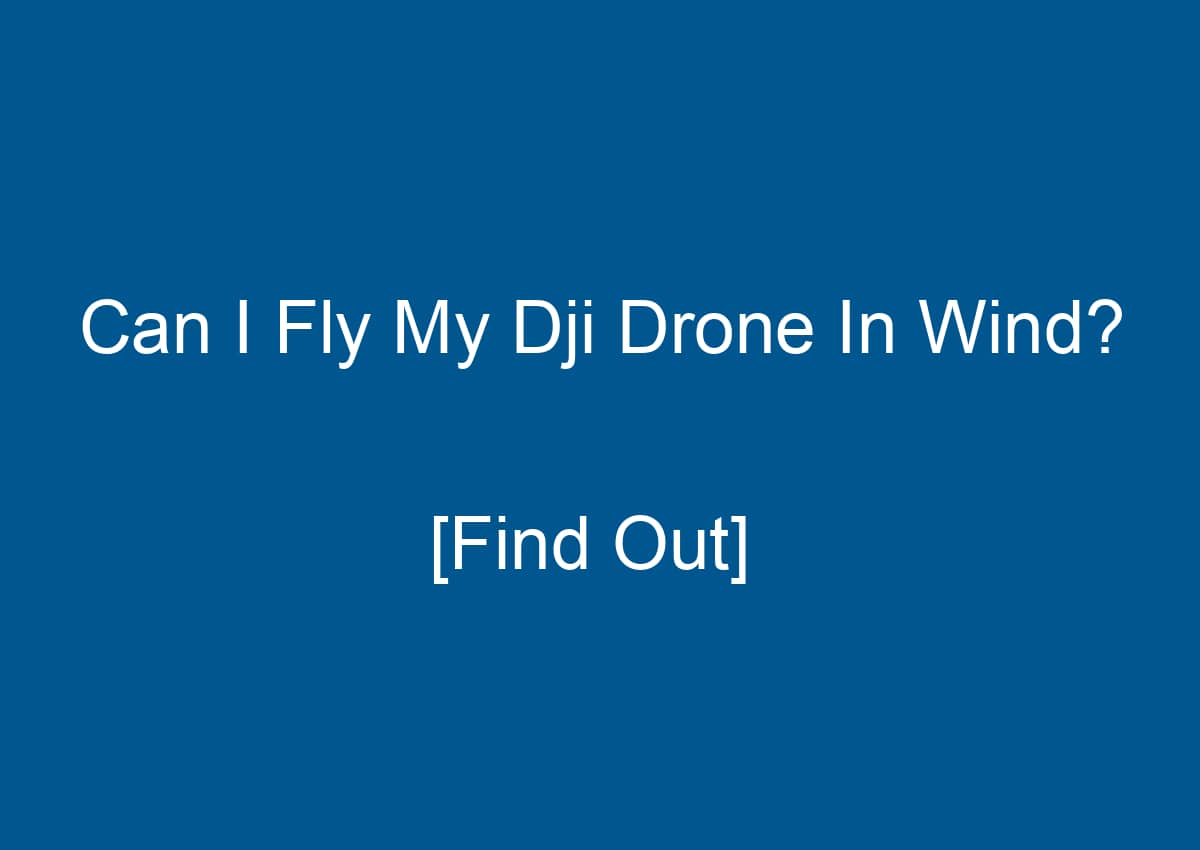 Can I Fly My Dji Drone In Wind? [Find Out] - Digitalhow