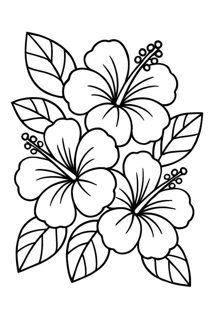 Hibiscus Flower Coloring Pages For Creative And Relaxing Activities ...